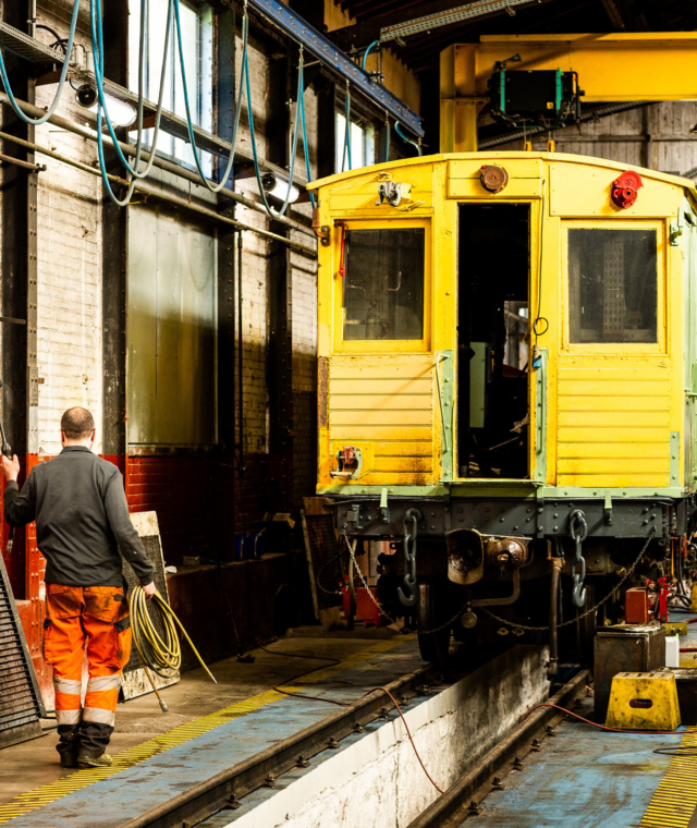 Discover the Yellow Train - Let’s Get on the Yellow Train